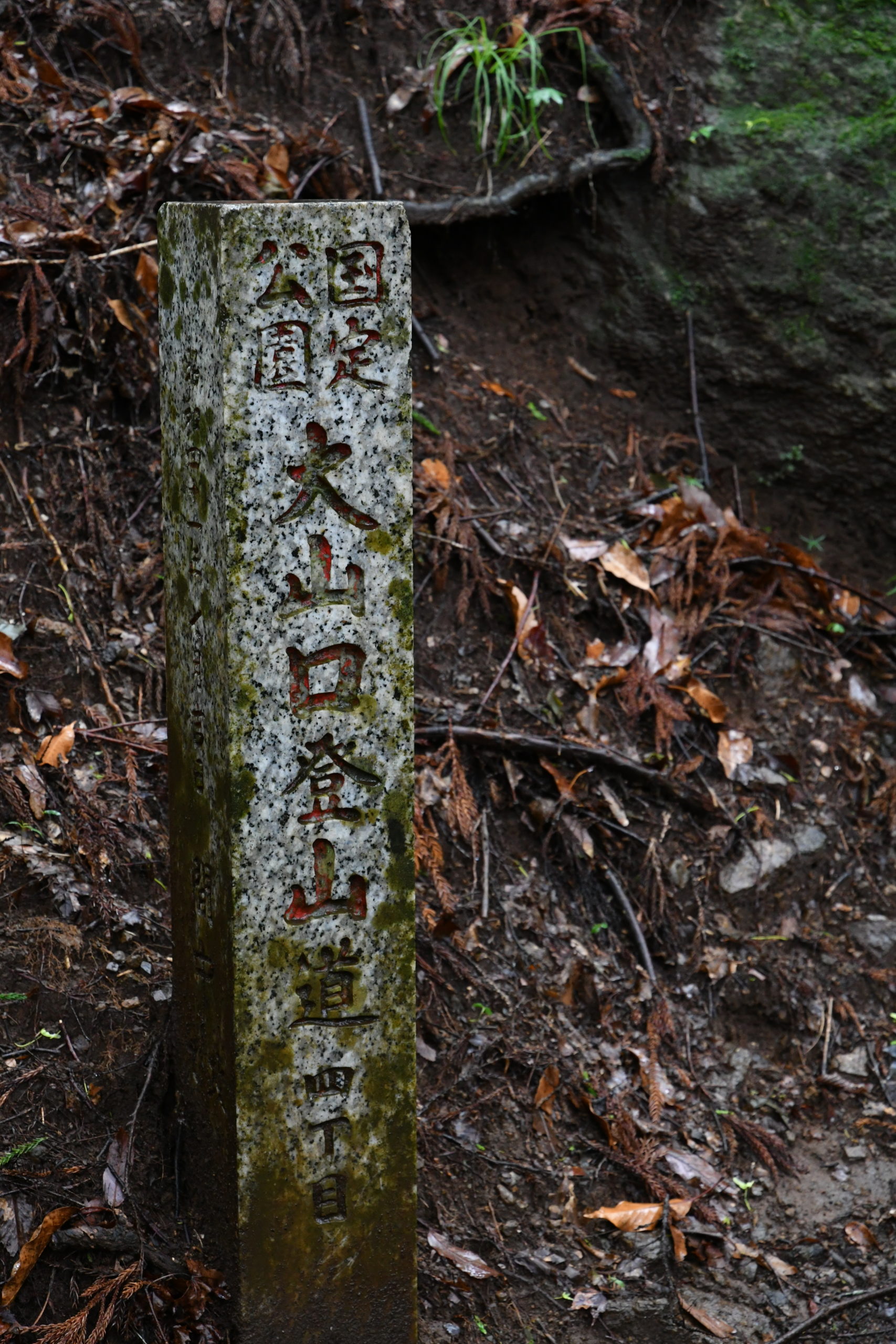 Mt. Oyama: A Place of Religion and Recreation for Edo-Period Commoners ...