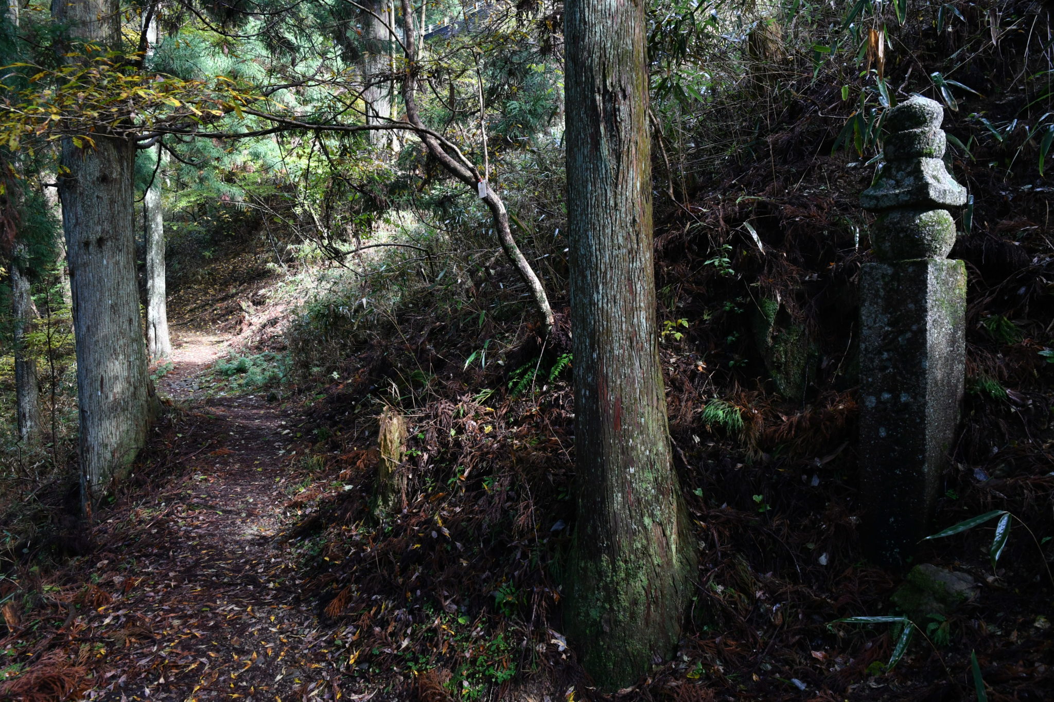 Mt. Koya: A Sacred Natural Site That Continues to Evolve | Sacred ...