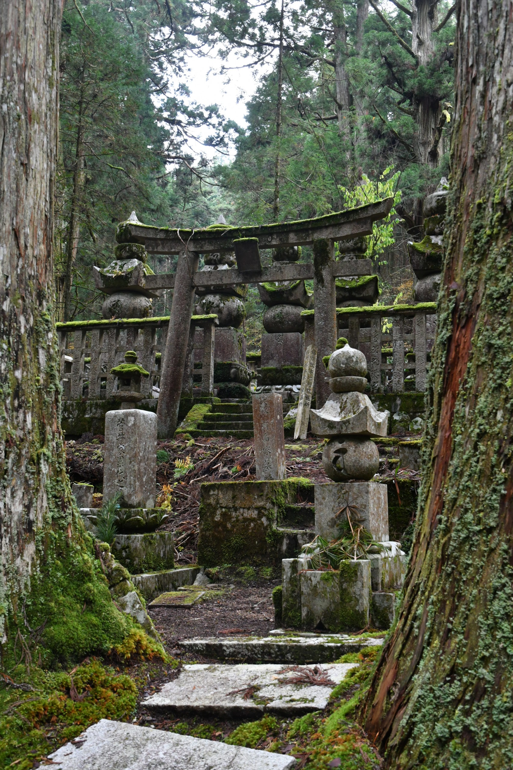 Mt. Koya: A Sacred Natural Site That Continues to Evolve | Sacred ...
